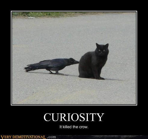 CURIOSITY - Very Demotivational - Demotivational Posters | Very ...