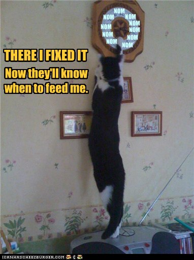 THERE I FIXED IT - Lolcats - lol | cat memes | funny cats | funny cat ...