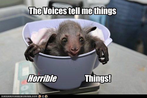 Animal Capshunz - aye aye - Funny animal pictures with captions ...