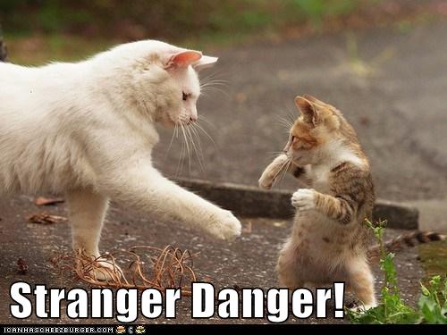 Lolcats - stranger danger - LOL at Funny Cat Memes - Funny cat pictures ...