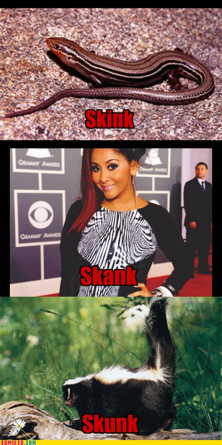 Memebase - snooki - Page 4 - All Your Memes In Our Base - Funny Memes ...