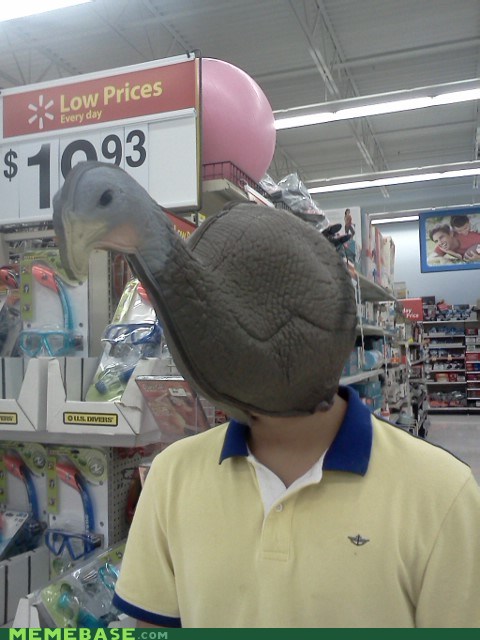 Be the Stuffing - Picture Is Unrelated - Funny Picture | Funny Video ...