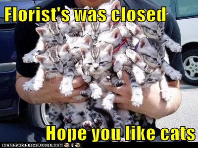 Lolcats - present - Page 2 - LOL at Funny Cat Memes - Funny cat ...