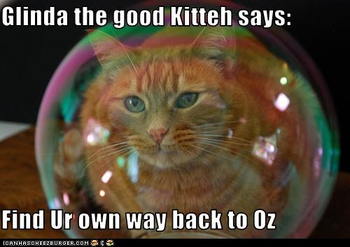 Lolcats - classics - Page 5 - LOL at Funny Cat Memes - Funny cat ...