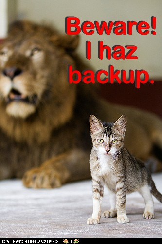 Beware! - Lolcats - lol | cat memes | funny cats | funny cat pictures ...