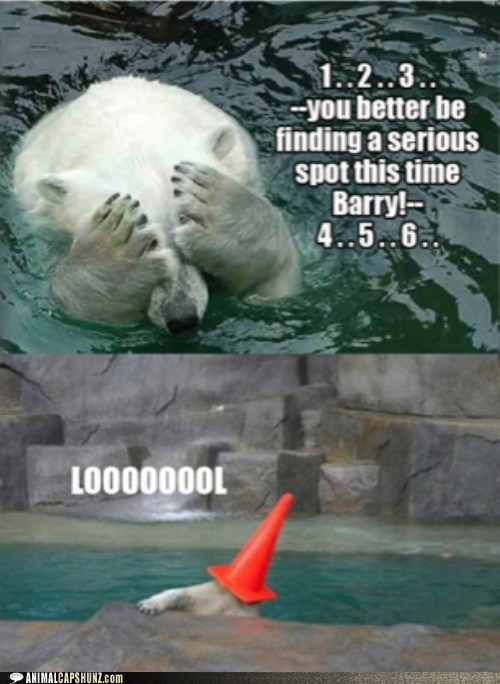 Dammit Barry! - Animal Comedy - Animal Comedy, funny animals, animal gifs