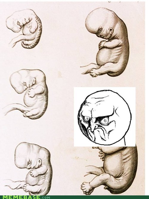 And Thus, He Was Born - Memebase - Funny Memes