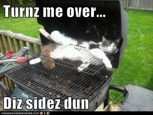 Turnz me over... - Lolcats - lol | cat memes | funny cats | funny cat ...