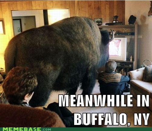 Buffalo buffalo Buffalo buffalo buffalo buffalo Buffalo buffalo ...
