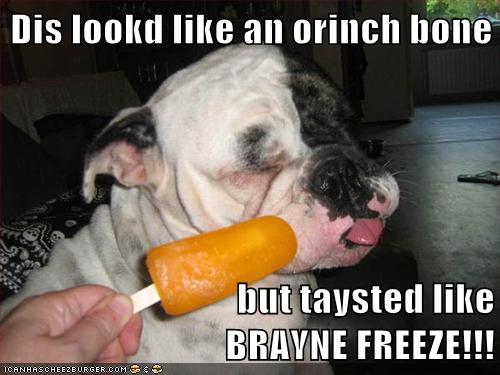 BRAYNE FREEZE! - I Has A Hotdog - Dog Pictures - Funny pictures of dogs ...