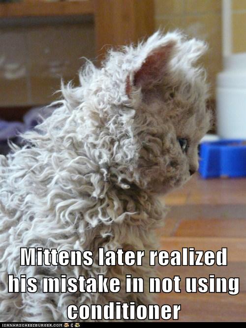 Mittens later realized his mistake - Lolcats - lol | cat memes | funny ...