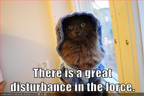 There is - Lolcats - lol | cat memes | funny cats | funny cat pictures ...