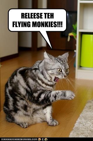Classic LOLcat - Lolcats - lol | cat memes | funny cats | funny cat ...