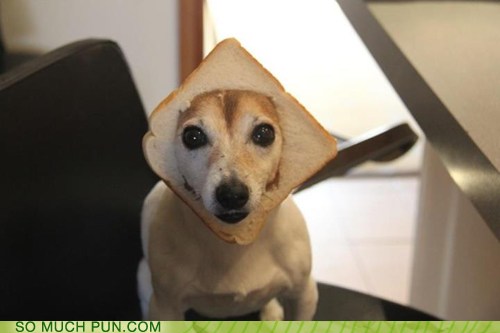 Puns - bread - Funny Puns - Pun Pictures - Cheezburger