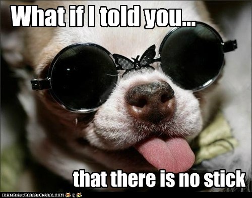 It's Not the Stick That is Fetched, it is Only Yourself - I Has A ...