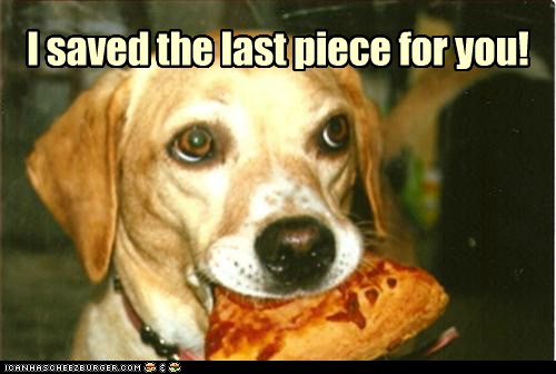 I Has A Hotdog - pizza - Funny Dog Pictures | Dog Memes | Puppy ...