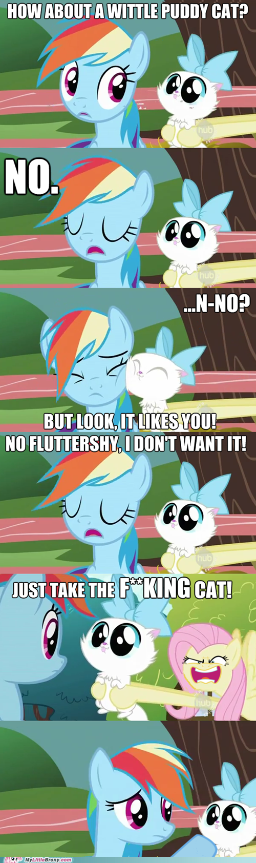 Rainbow Dash And Fluttershy Comic