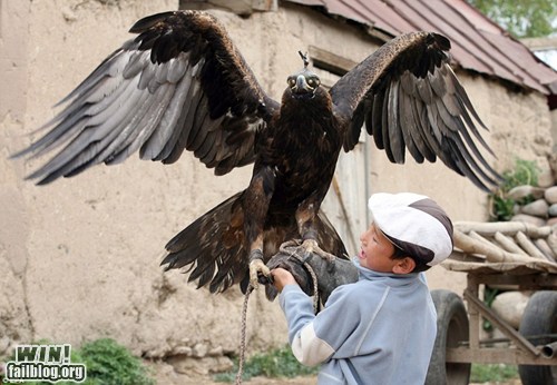 Training an Eagle WIN - WIN! - epic win photos