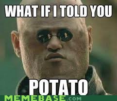 Derp - potato - Derp Face Derps - hurr durr derp face - derp - Cheezburger