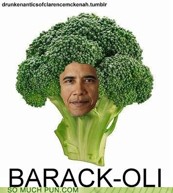 Puns - broccoli - Funny Puns - Pun Pictures - Cheezburger