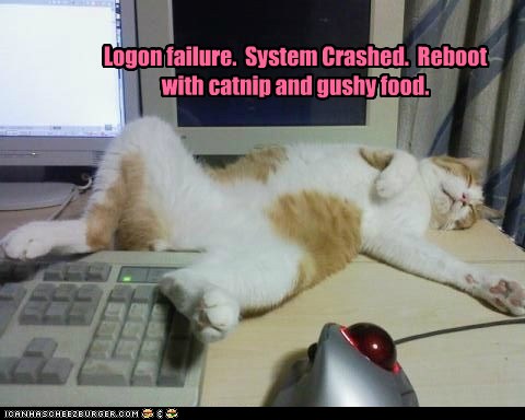 Lolcats - computer - Page 6 - LOL at Funny Cat Memes - Funny cat ...