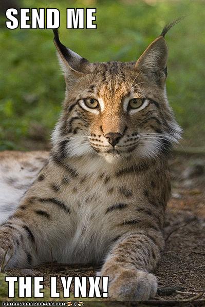 Not Quite What I Meant - Animal Comedy - Animal Comedy, funny animals ...