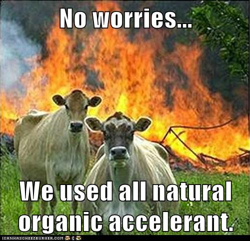 Cow Burning Memes