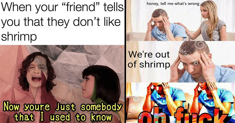 Shrimp Meme