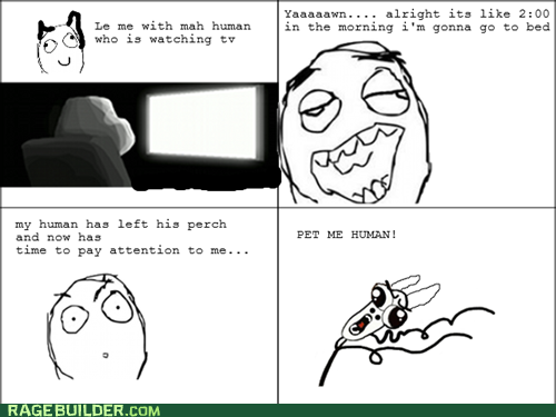 Want to See the Mouse I Caught? - Rage Comics - rage comics