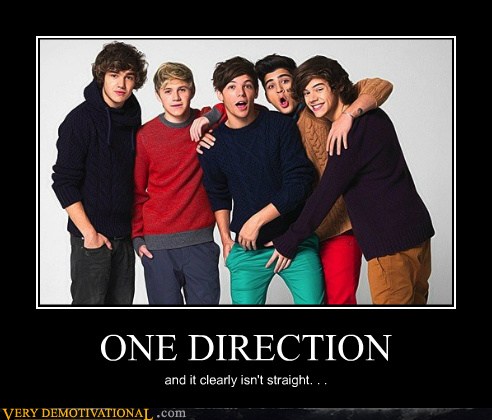 ONE DIRECTION - Very Demotivational - Demotivational Posters | Very ...