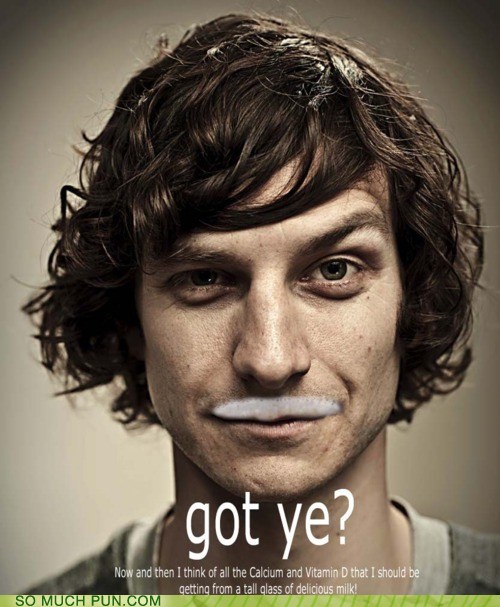 Puns - advertisement - Funny Puns - Pun Pictures - Cheezburger