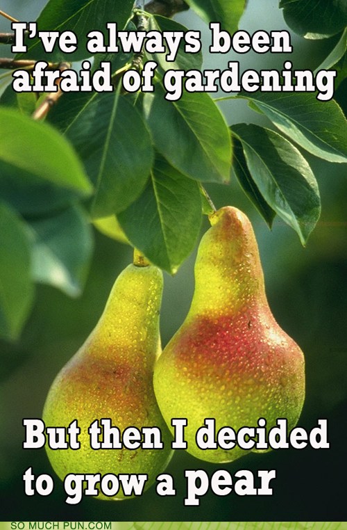 Puns - afraid - Funny Puns - Pun Pictures - Cheezburger