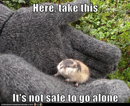 Animal Comedy - lemming - Animal Comedy - Animal Comedy, funny animals ...