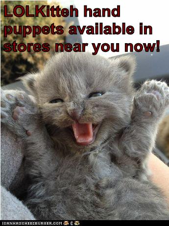 LOLKitteh hand puppets - Lolcats - lol | cat memes | funny cats | funny ...