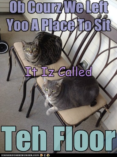 There's eben this cushy soft stuff on it called carpet, see? - Lolcats ...