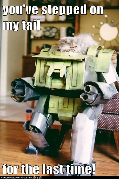 Lolcats - robot - LOL at Funny Cat Memes - Funny cat pictures with ...