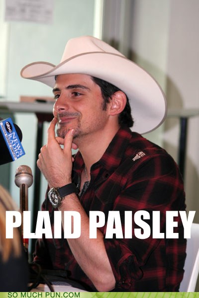 I See the Plaid, But Where's the Paisley? - Puns - Pun Pictures