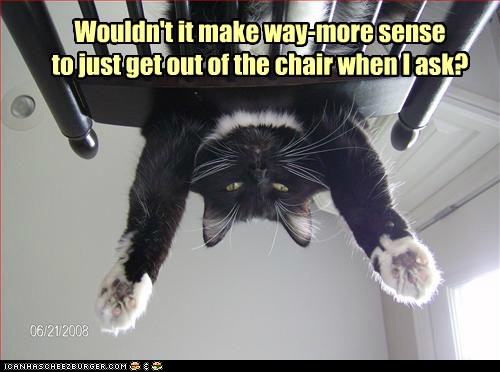 Lolcats - mean - Page 2 - LOL at Funny Cat Memes - Funny cat pictures ...