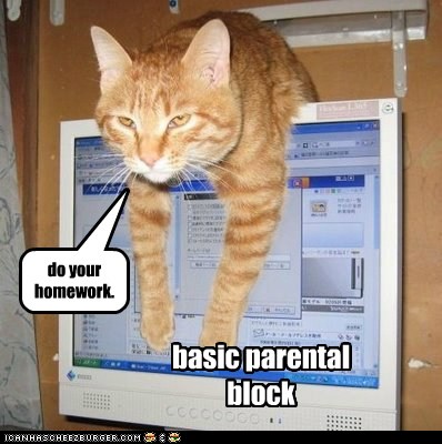 do your homework. - Lolcats - lol | cat memes | funny cats | funny cat ...