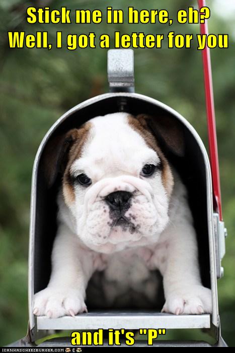 I Has A Hotdog - mailbox - Funny Dog Pictures | Dog Memes | Puppy ...