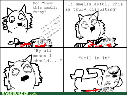 Dog, Your Logic is Infallible - Rage Comics - rage comics