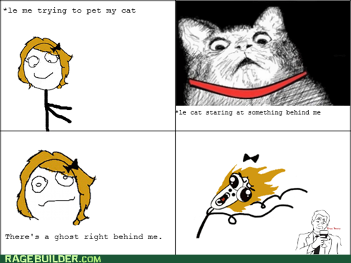 Rage Comics - cat - Rage Comics - rage comics - Cheezburger