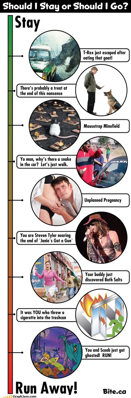 Memebase - stay - All Your Memes In Our Base - Funny Memes - Cheezburger