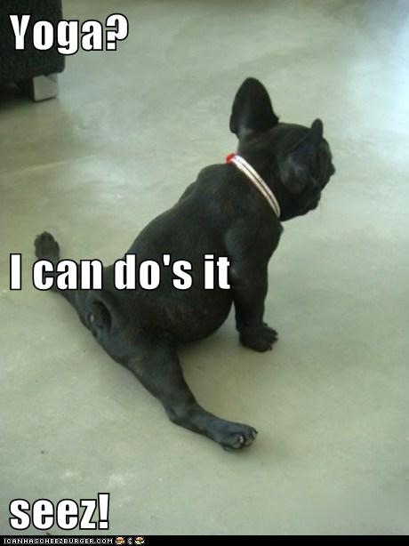 I Has A Hotdog - stretch - Funny Dog Pictures | Dog Memes | Puppy ...