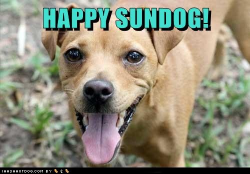 Happy Sundog! - I Has A Hotdog - Dog Pictures - Funny pictures of dogs ...