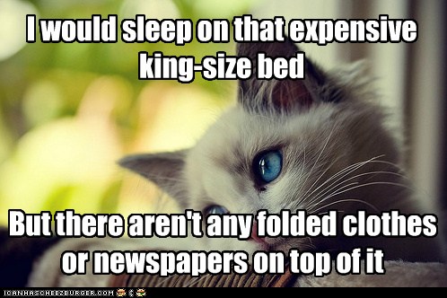 First World Problems Cat Meme