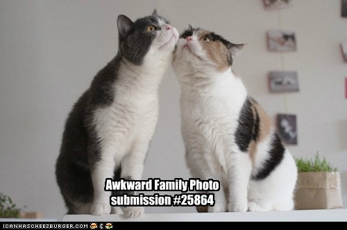 Lolcats - Awkward - Page 2 - LOL at Funny Cat Memes - Funny cat ...