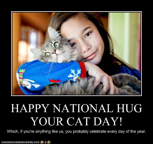 Happy National Hug Your Cat Day! - I Can Has Cheezburger?