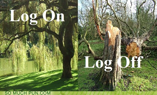 Puns - log - Funny Puns - Pun Pictures - Cheezburger