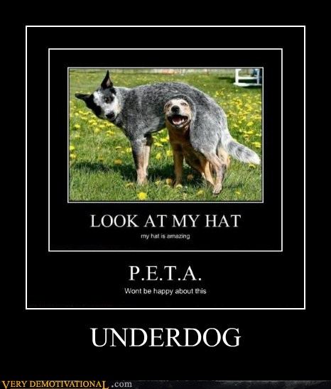 UNDERDOG - Very Demotivational - Demotivational Posters | Very ...